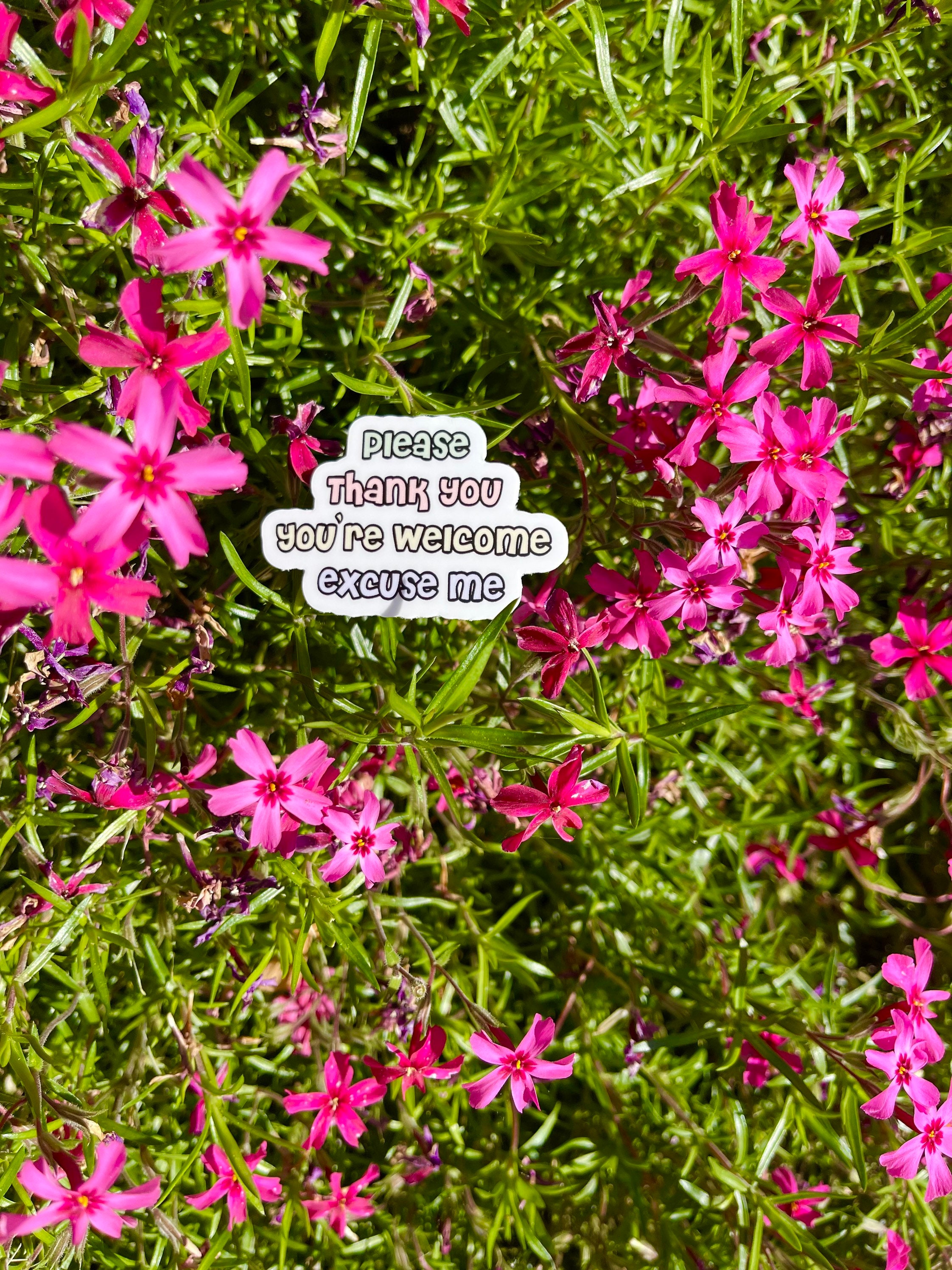 Please Thank You Youre Welcome Excuse Me Sticker Magic - Etsy