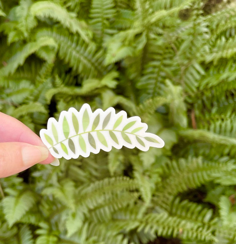 Clear Fern Leaf Stickerbotanical Floral Sticker | Etsy