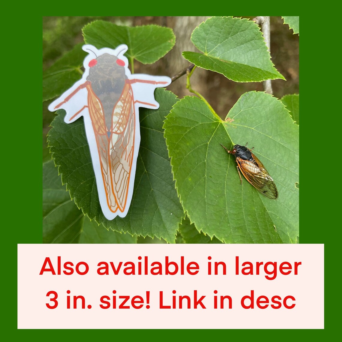 4 Piece Cicada Sticker Set, Life-sized Cicada Stickers, Cicada Stickers ...