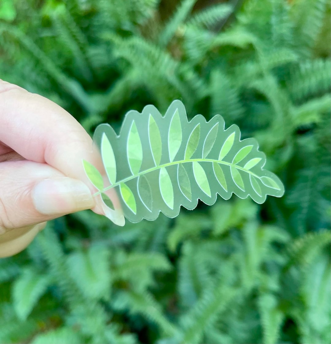 Clear Fern Leaf Sticker|botanical Floral Sticker - Etsy
