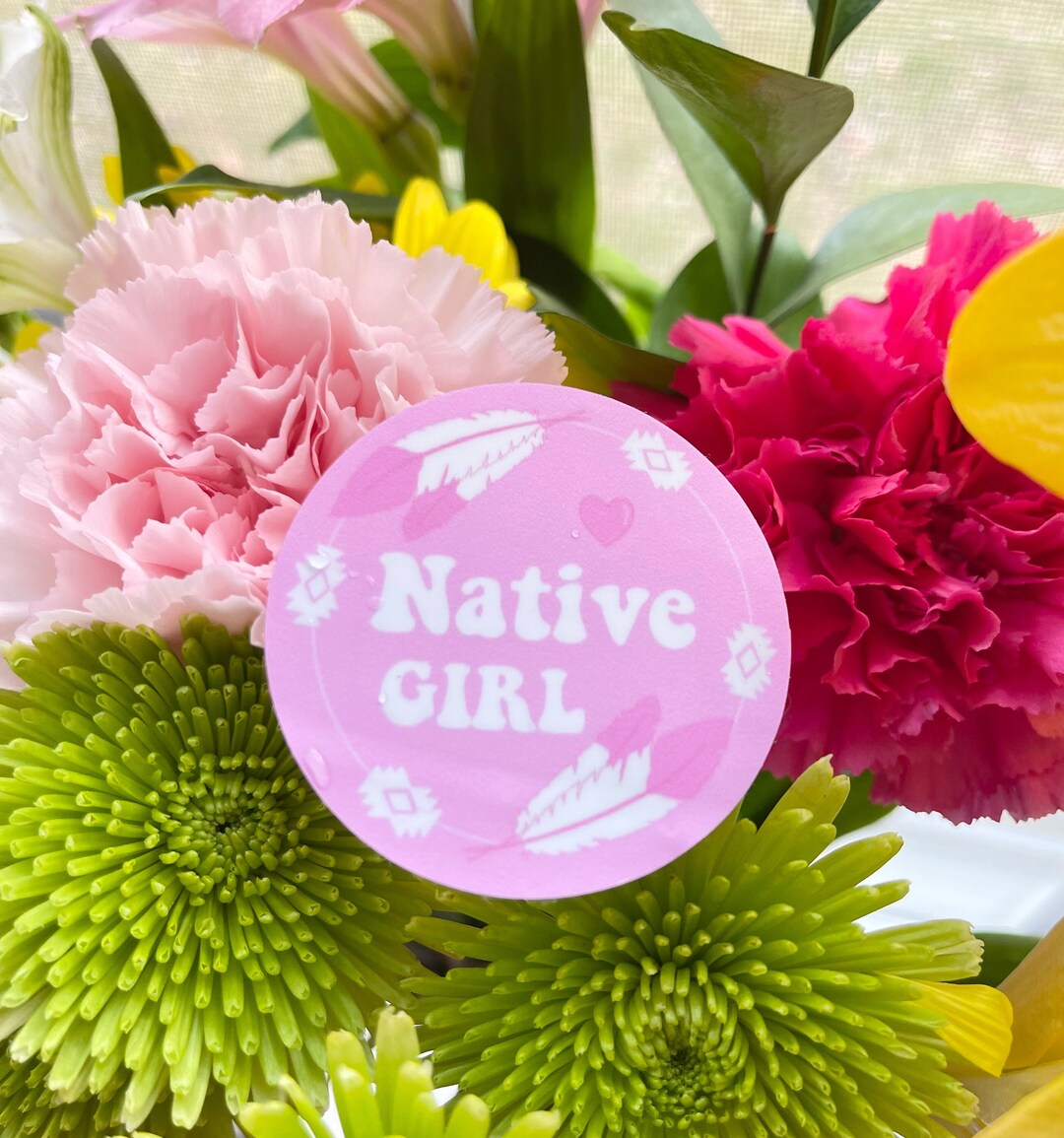 Native Girl Waterproof Sticker, Native American Indigenous Heritage ...