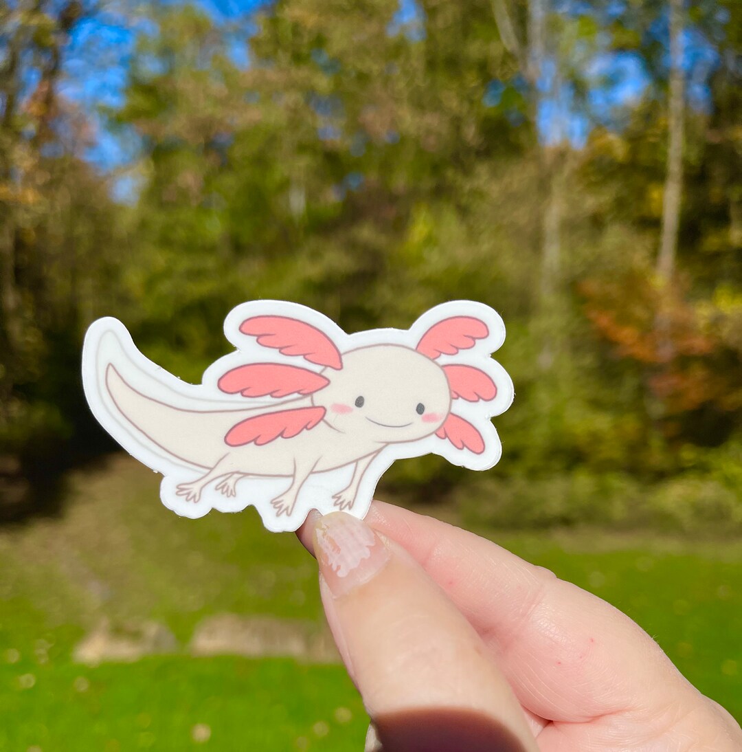 Axolotl Vinyl Sticker, Axolotl Aquarium Fish Sticker - Etsy