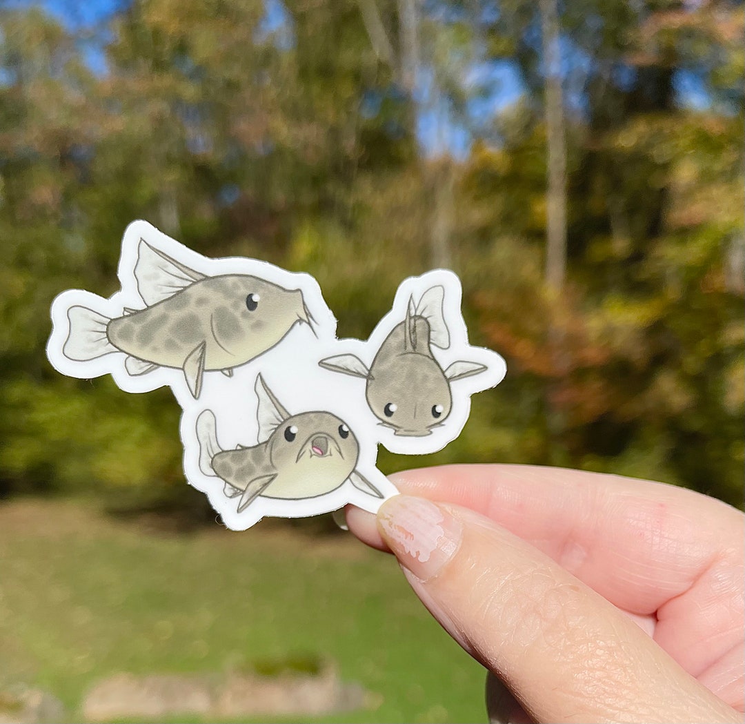 Peppered Cory Catfish Sticker Corydoras Paleatus Vinyl - Etsy