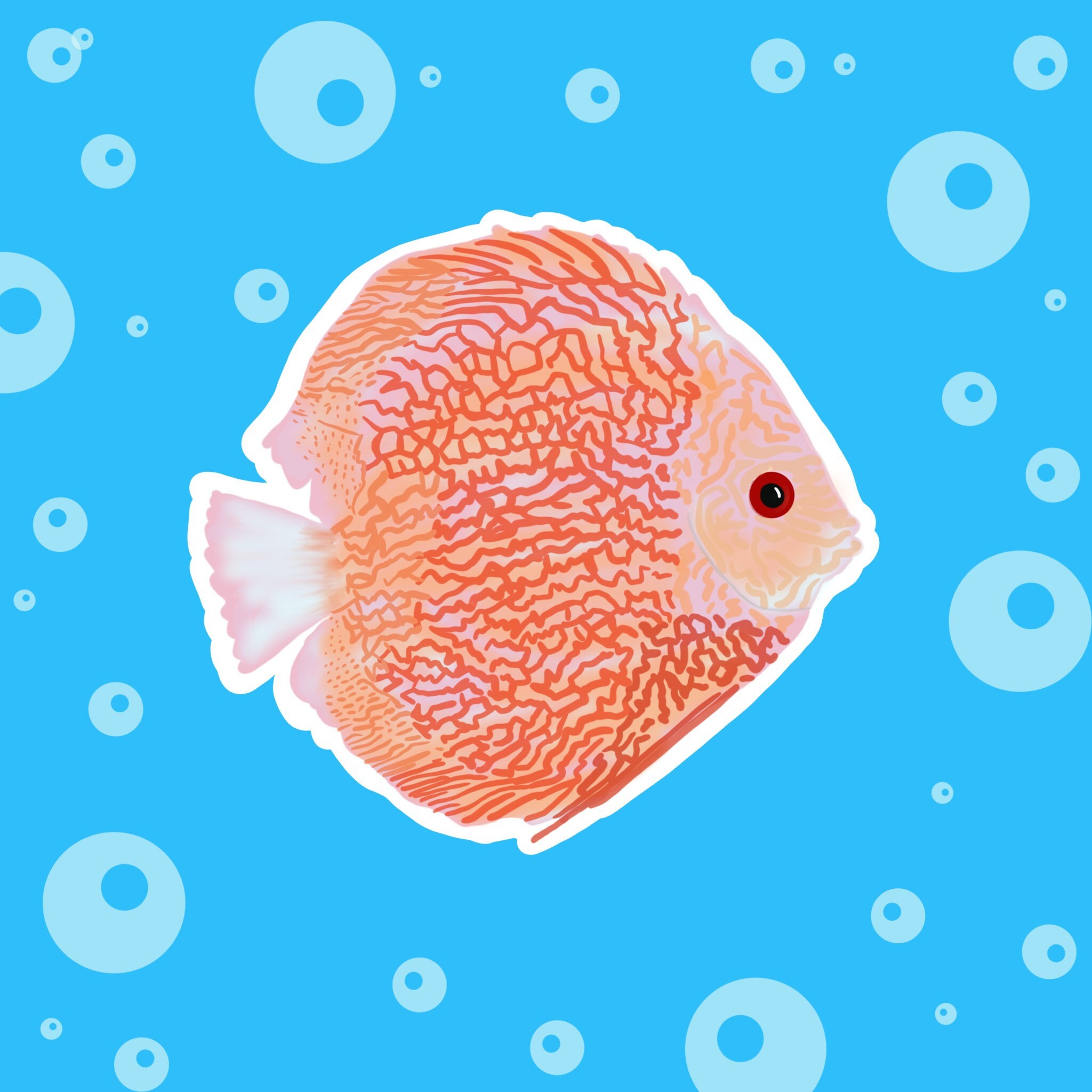 Discus Fish Sticker Symphysodon Fish Vinyl Sticker - Etsy