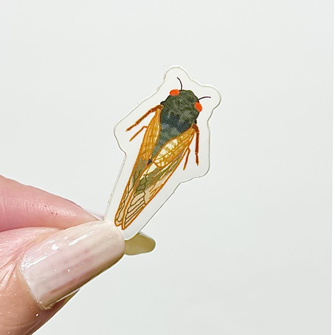 4 Piece Cicada Sticker Set, Life-sized Cicada Stickers, Cicada Stickers ...