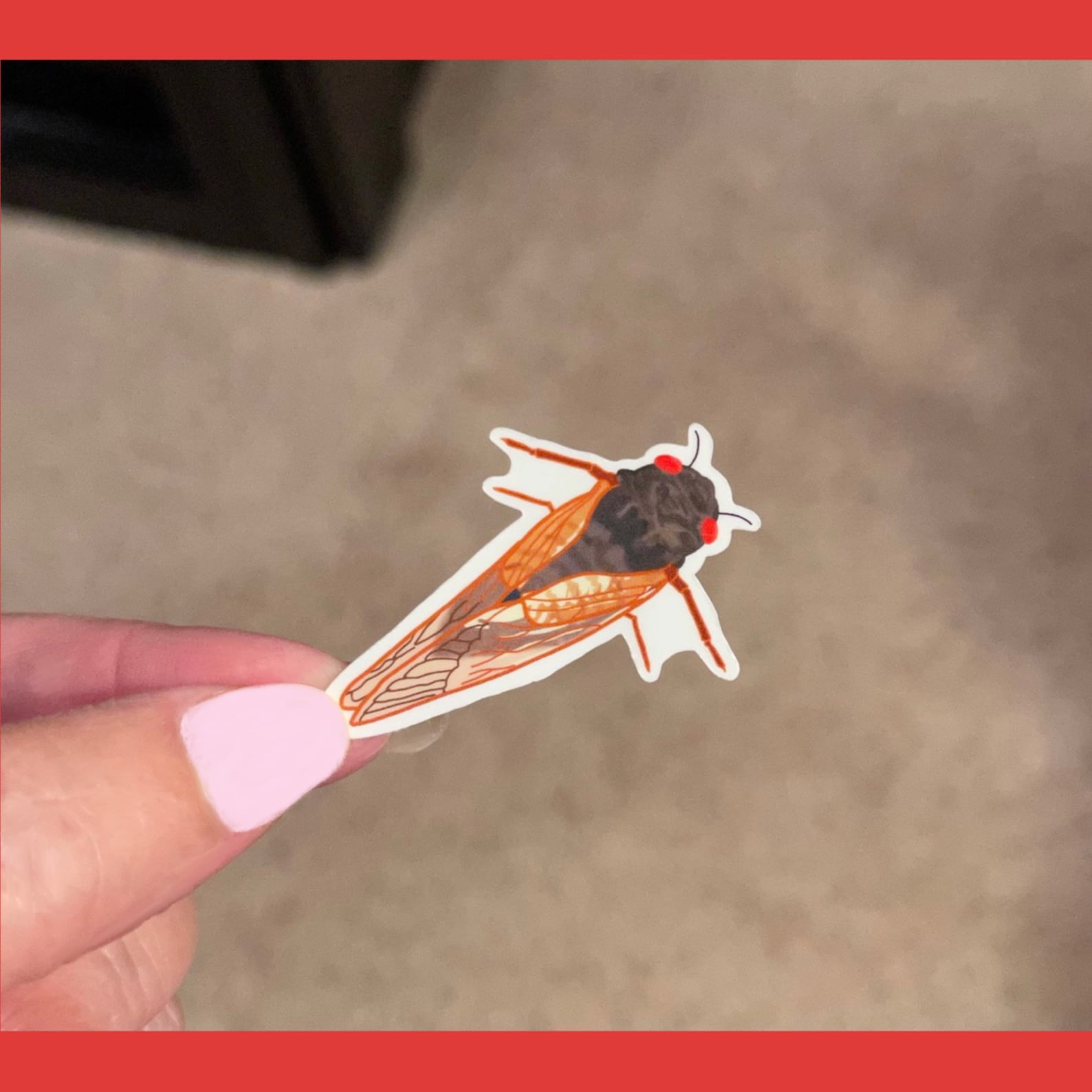 4 Piece Cicada Sticker Set, Life-sized Cicada Stickers, Cicada Stickers ...