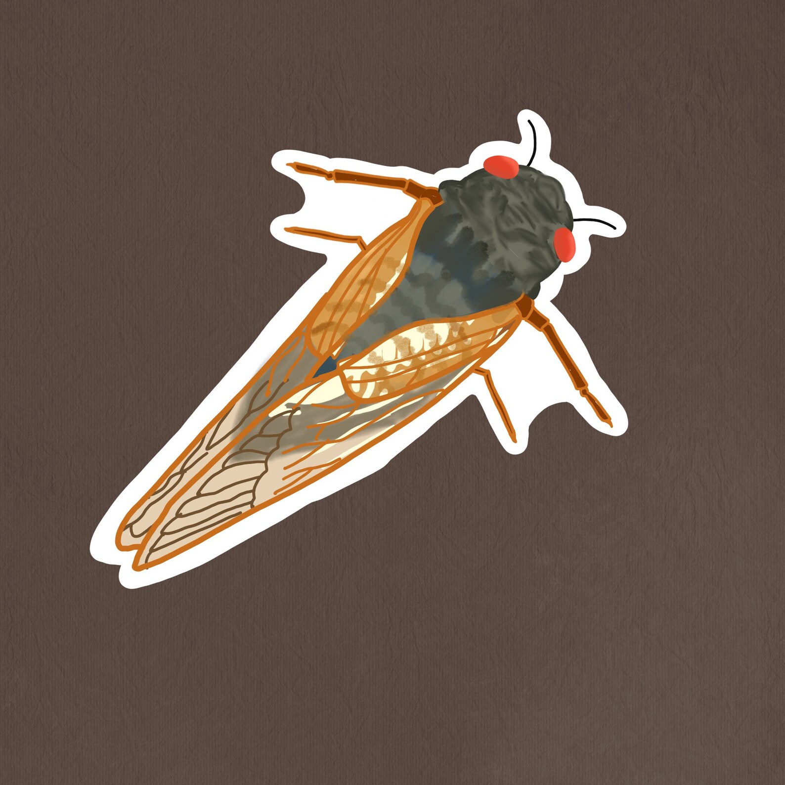 4 Piece Cicada Sticker Set Life-sized Cicada Stickers Cicada - Etsy