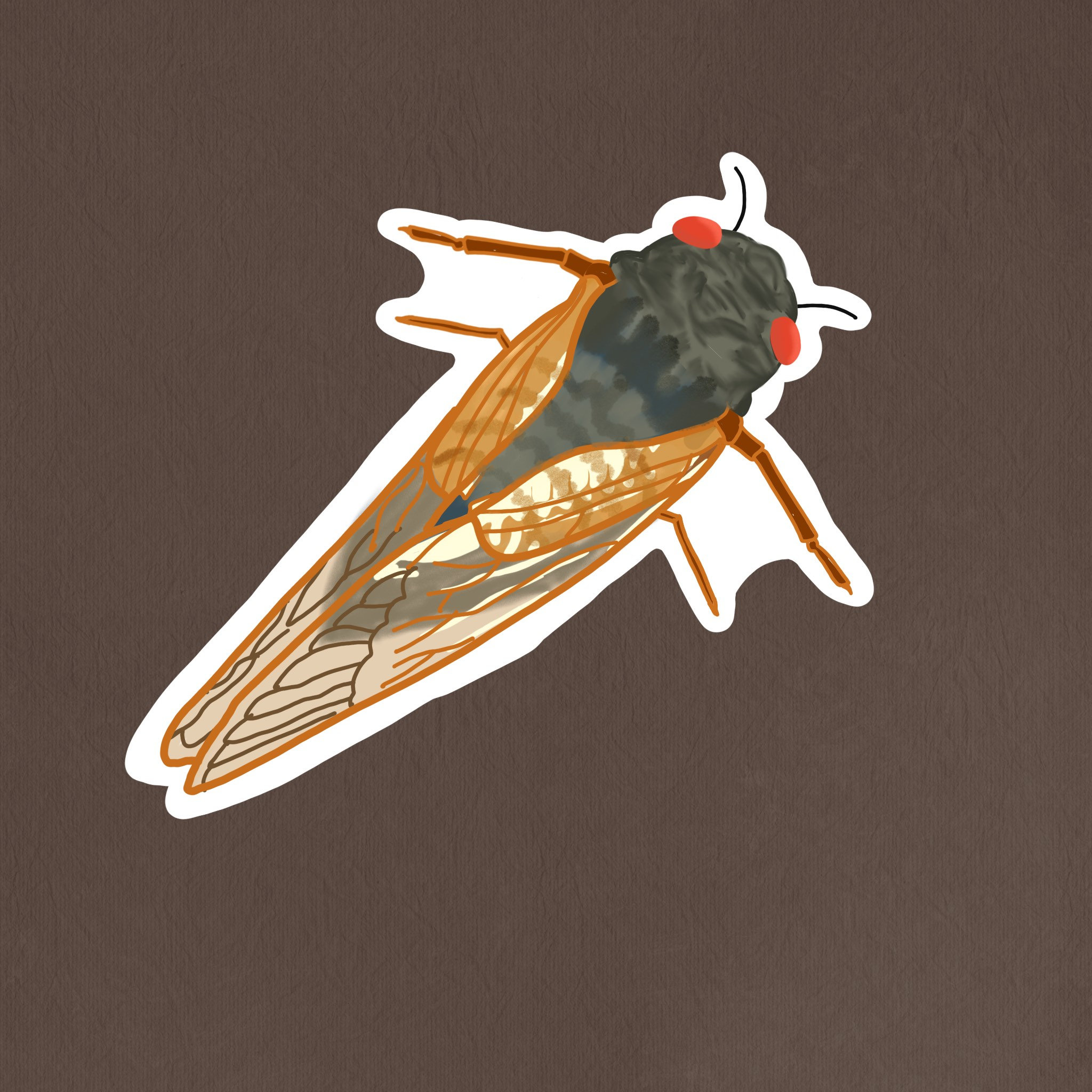 4 Piece Cicada Sticker Set, Life-sized Cicada Stickers, Cicada Stickers ...