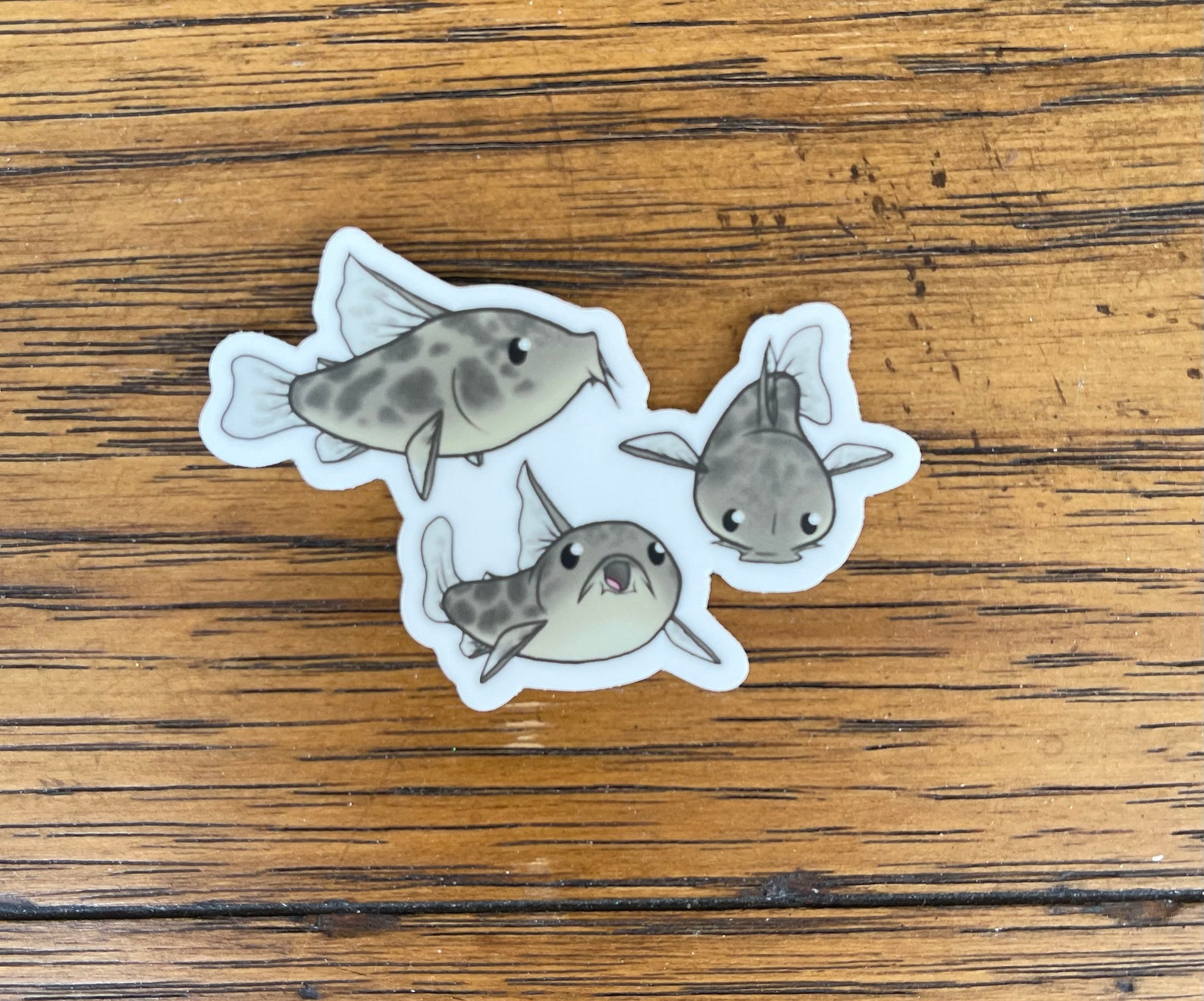 Peppered Cory Catfish Sticker Corydoras Paleatus Vinyl | Etsy