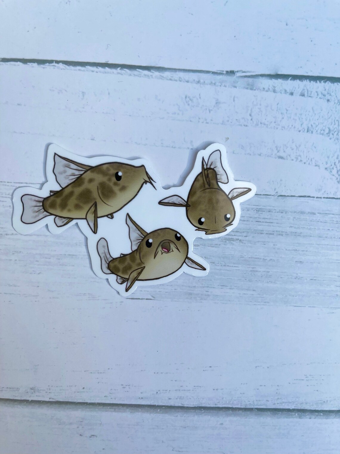 Peppered Cory Catfish Sticker Corydoras Paleatus Vinyl | Etsy