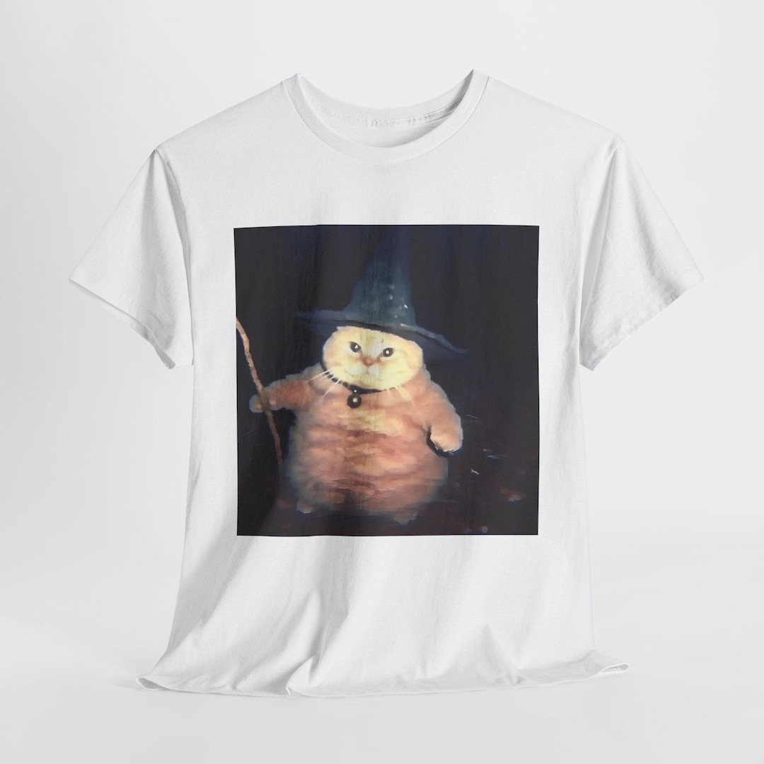 Cheeseball the Wizard Cat T-shirt,funny Fat Orange Cat Graphic Tee,cute ...
