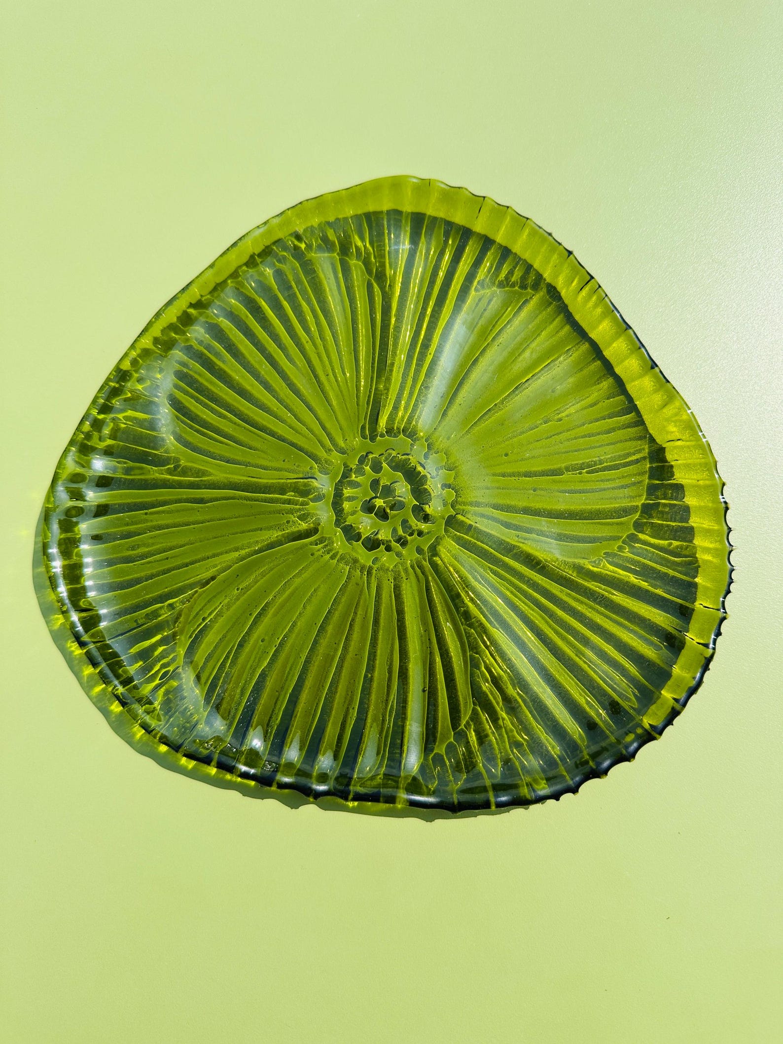 Glass Flower Fused Glass Art Dish, Fern Green. - Etsy