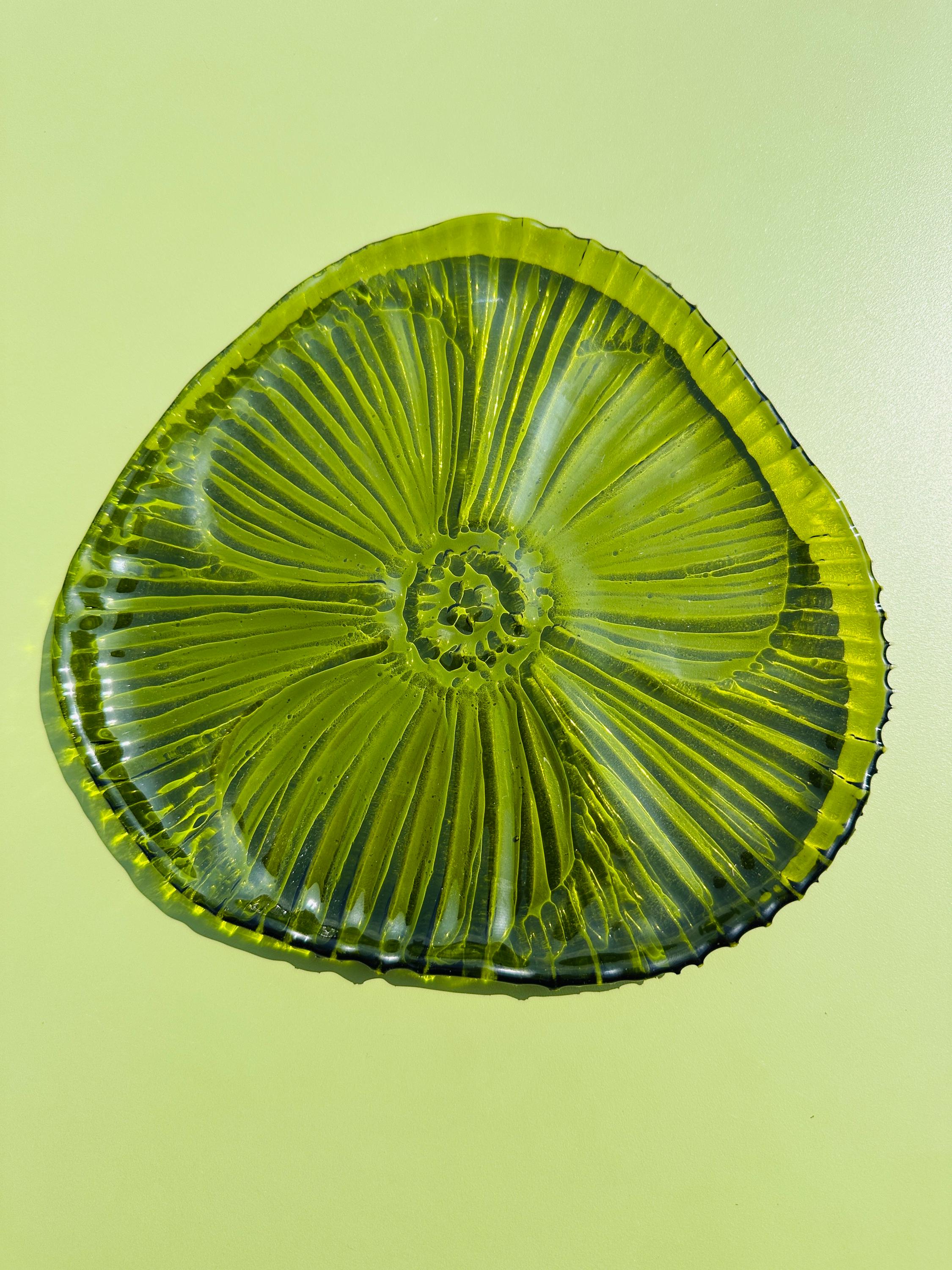 Glass Flower Fused Glass Art Dish, Fern Green. - Etsy