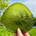 Glass Flower Fused Glass Art Dish, Fern Green. - Etsy