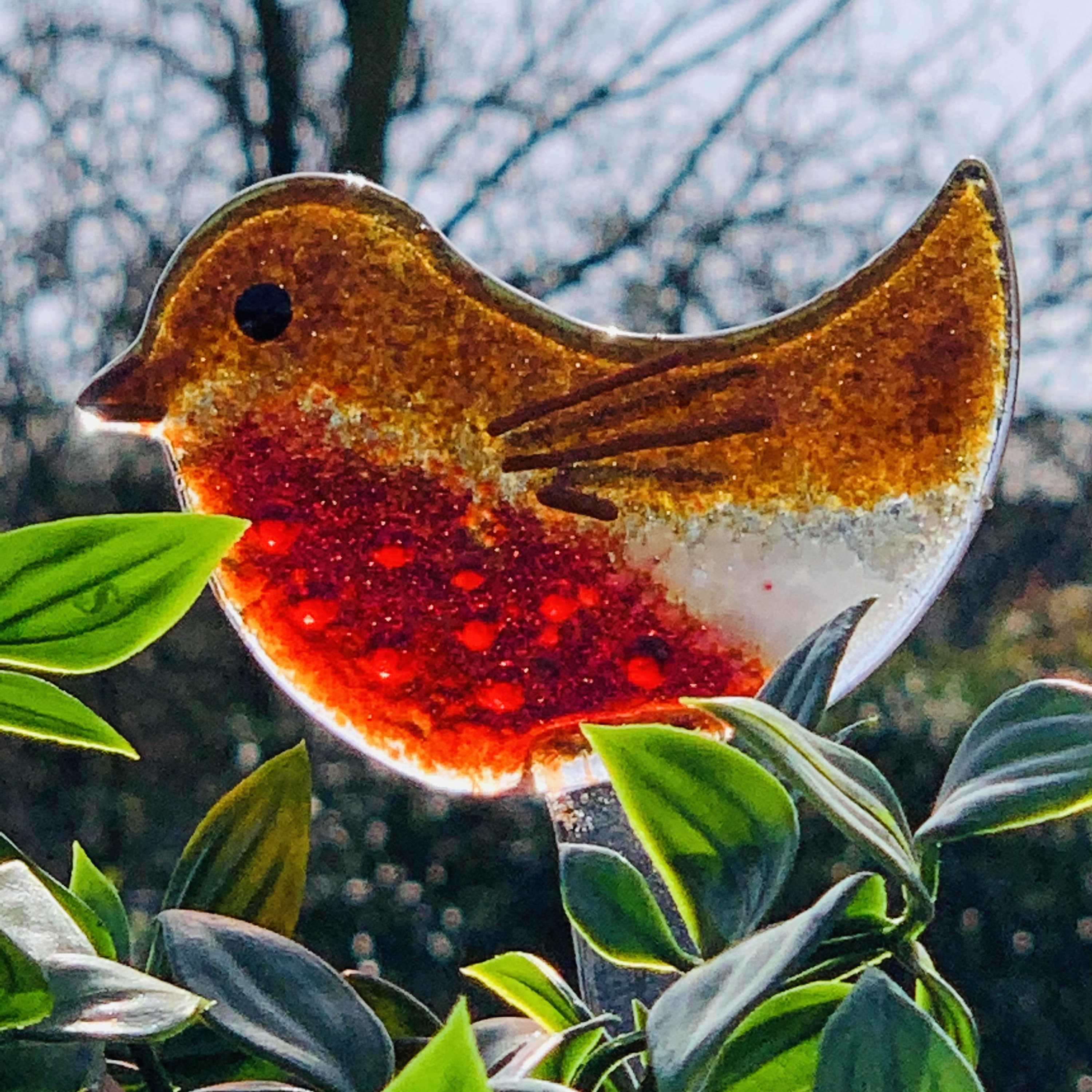 Red Robin Bird Gifts