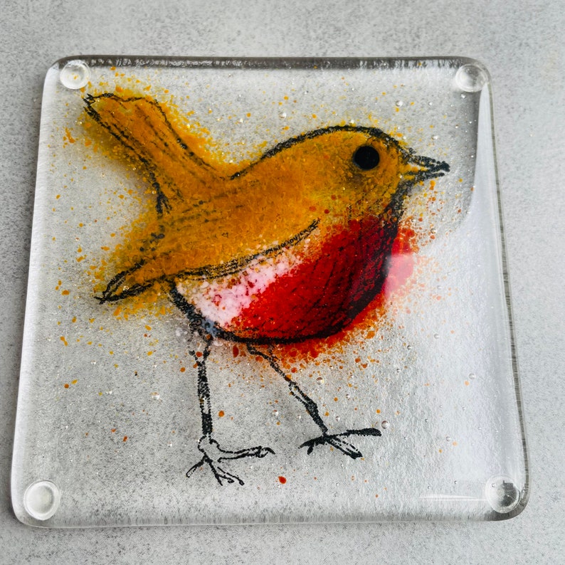 Fused Glass Robin Coaster: Hand Screen Printed Bird Art - Etsy