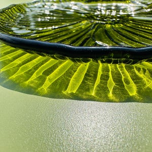 Glass Flower Fused Glass Art Dish, Fern Green. - Etsy