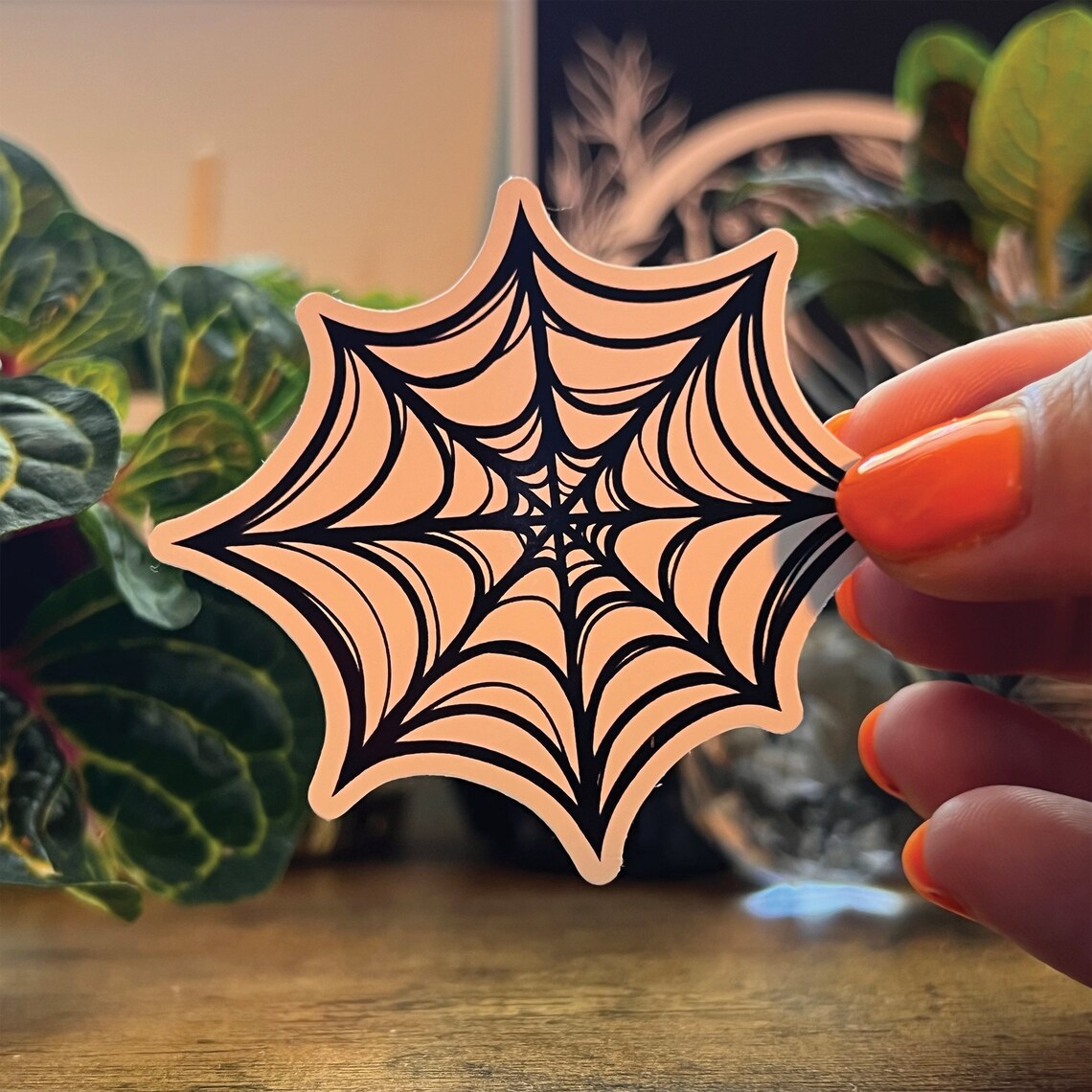Spiders Web Sticker Set 3 Cobweb Stickers Die Cut Vinyl - Etsy