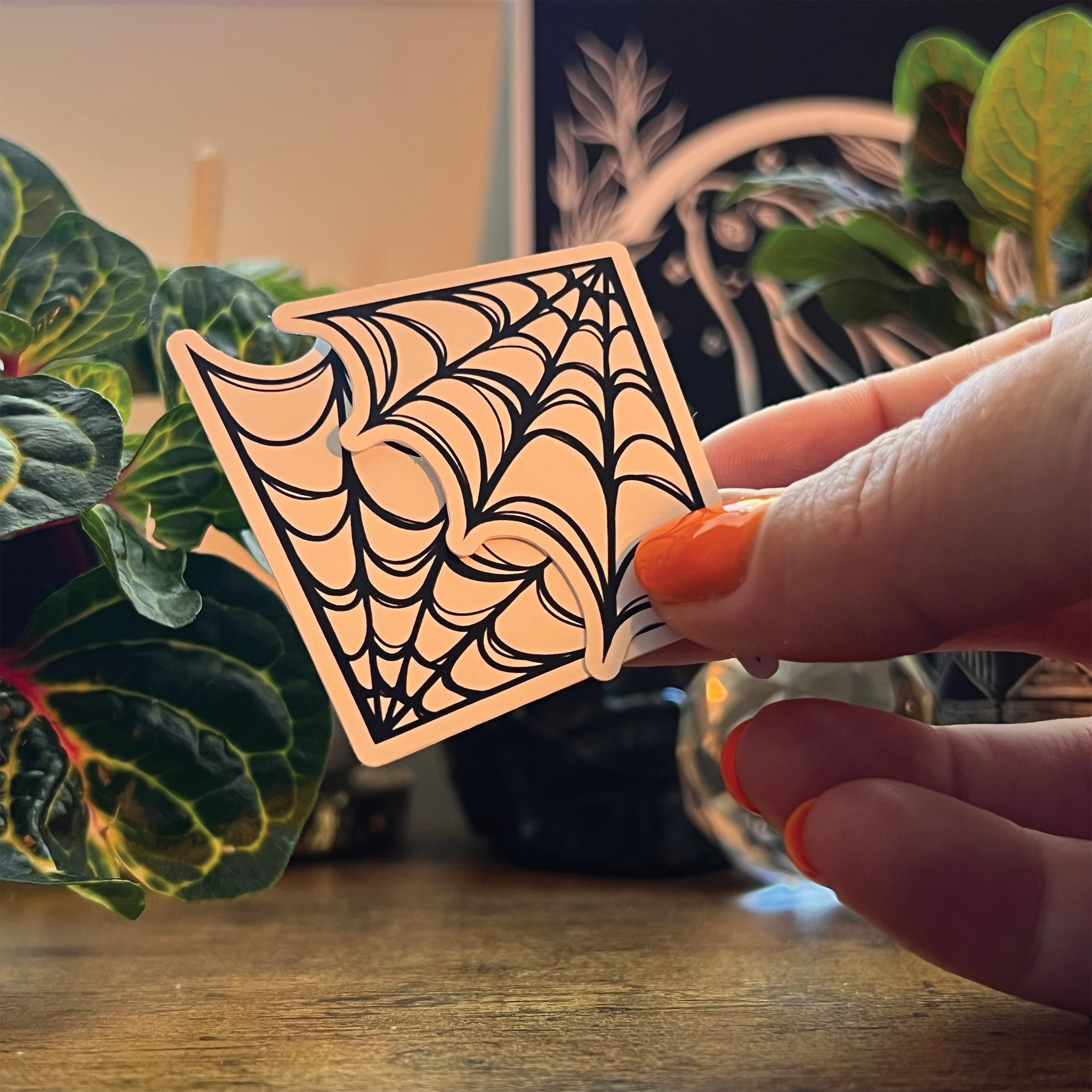 Spiders Web Sticker Set 3 Cobweb Stickers Die Cut Vinyl - Etsy