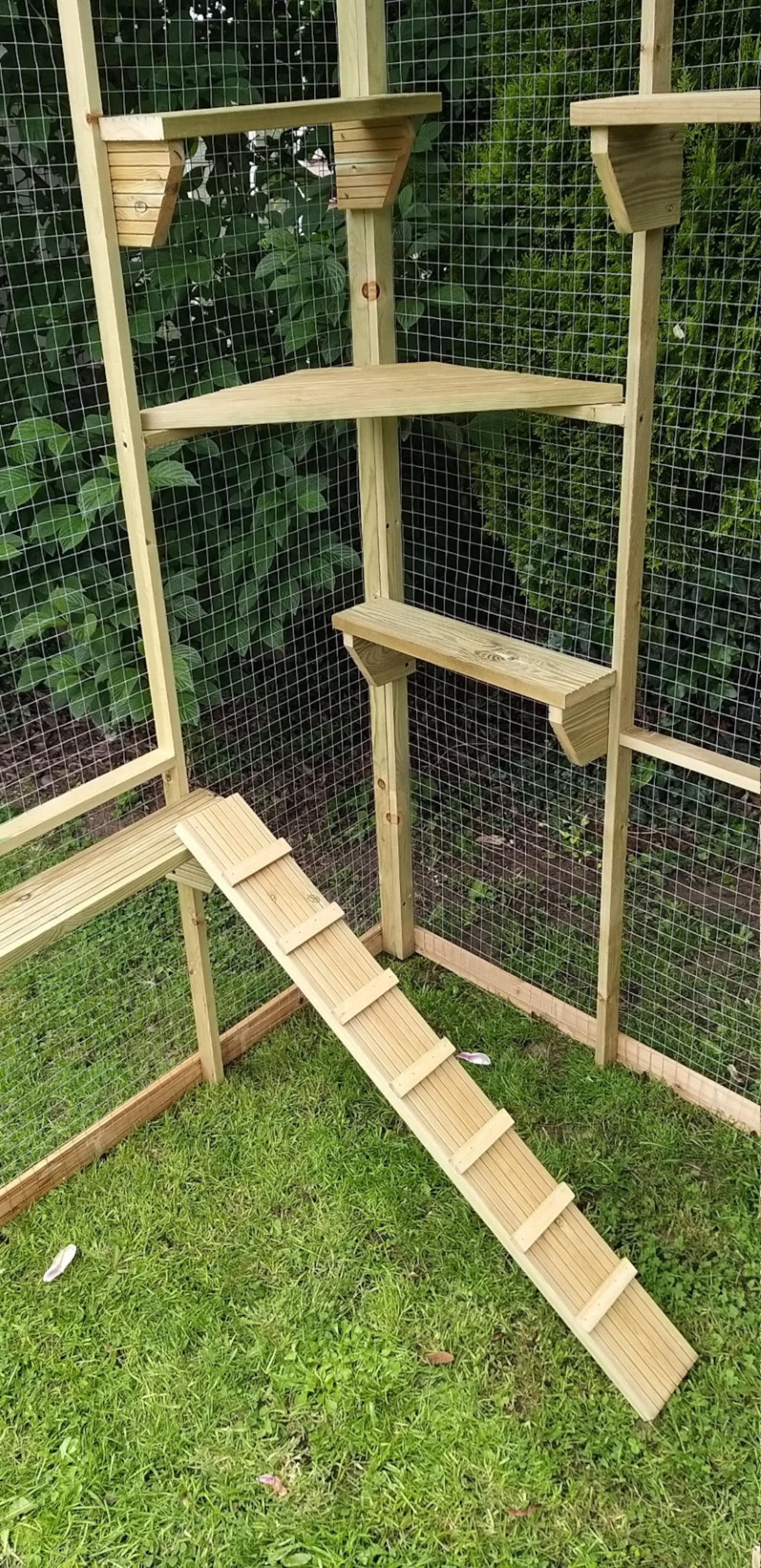 Catio / Cat Enclosure Accessories - Ladders, Rope Ladders - Handcrafted ...