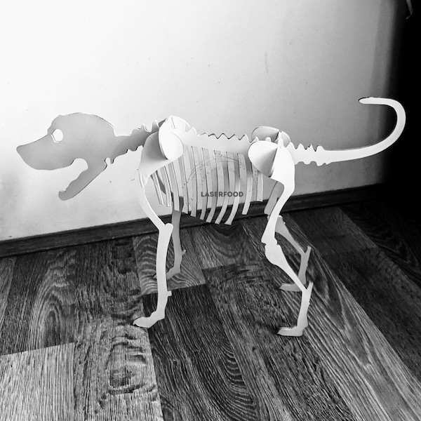 Dog Skeleton - Etsy