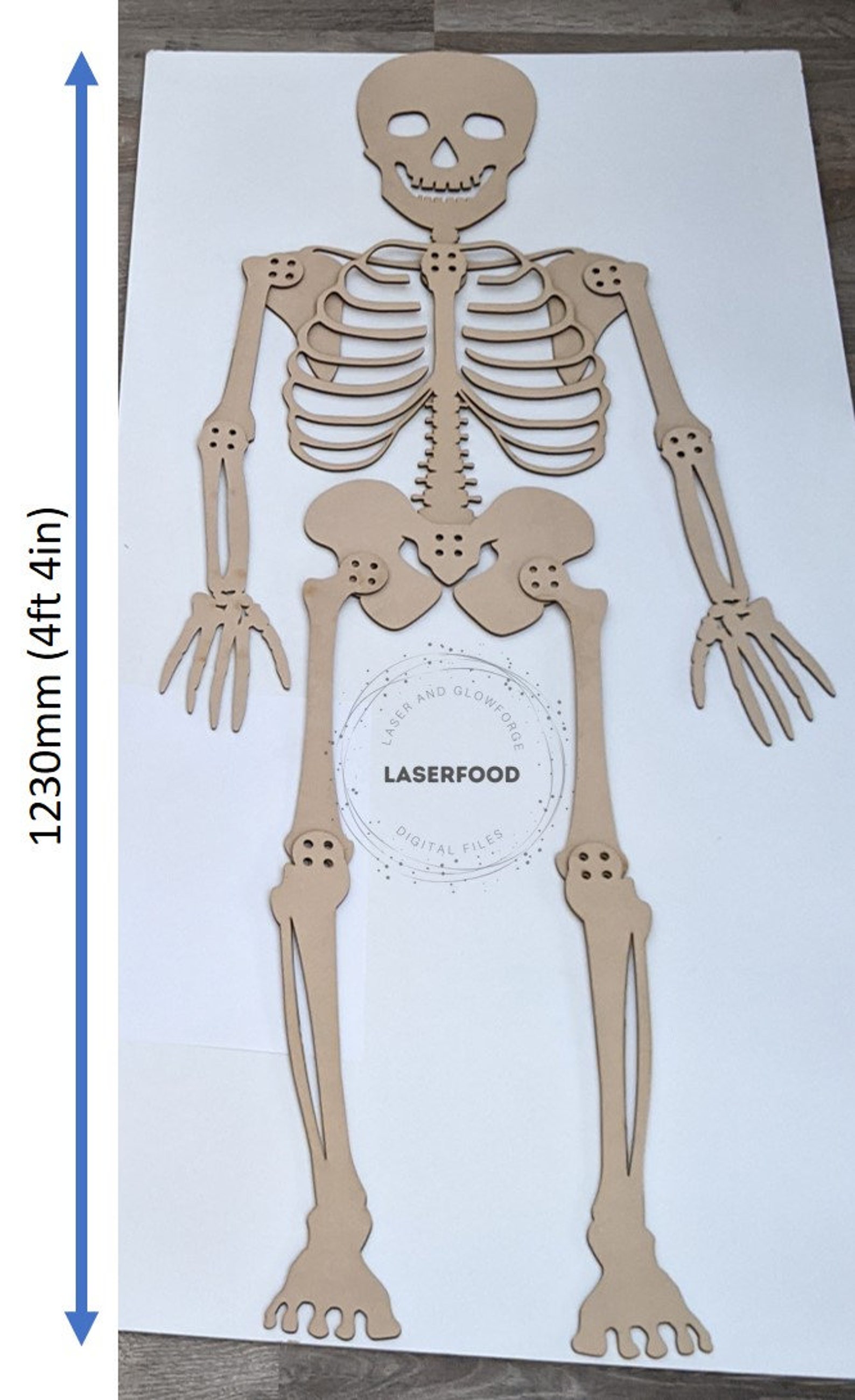 Halloween Skeleton File Laser Cut Human Bones to Assemble - Etsy