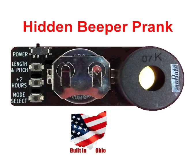 Funny Annoying Beep Cricket Chirp Prank Device, Hidden Noise Practical ...