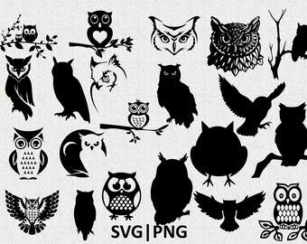 Owl Svg | Etsy