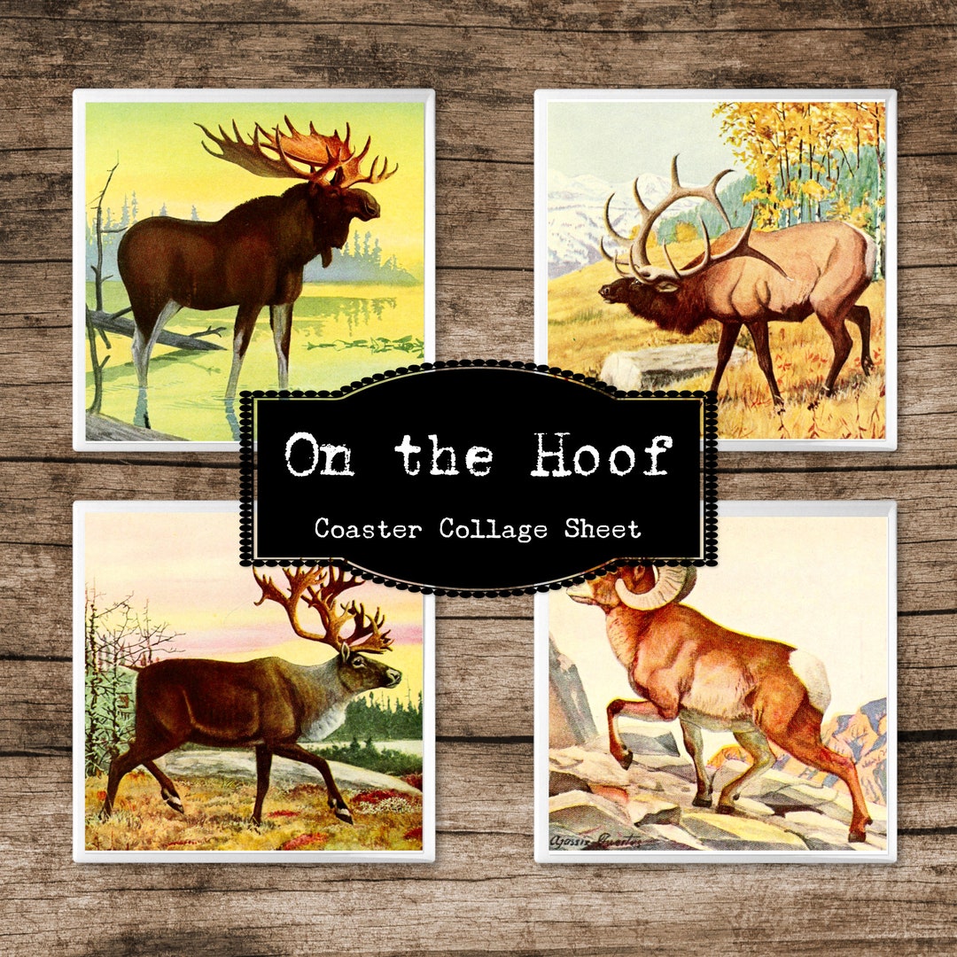 Cabin Life DIY Coasters, Moose Coaster, Elk Decor, Caribou Print ...