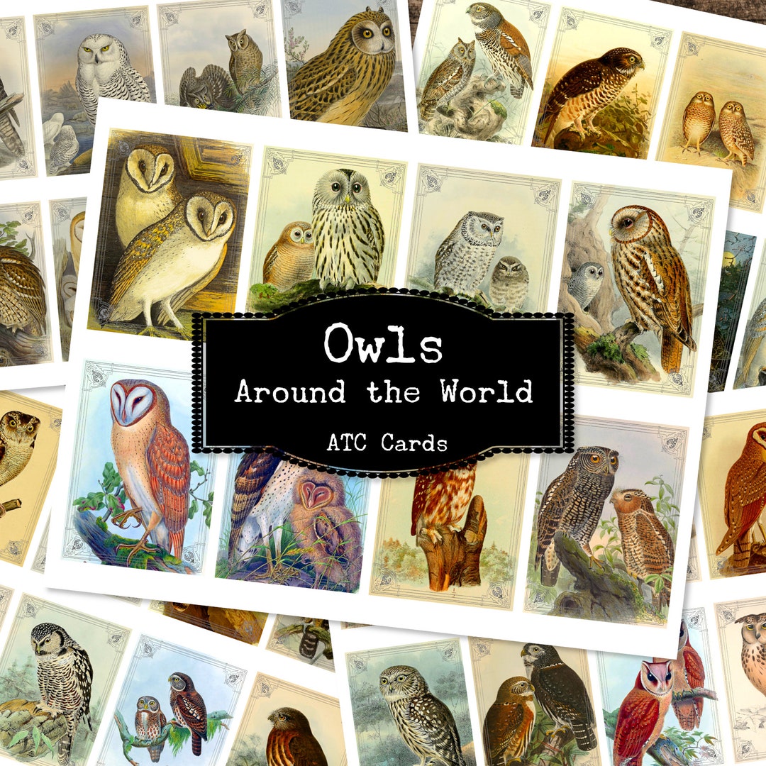 Antique Owl Print ATC Cards, Vintage Owls Junk Journal Ephemera, Owl ...