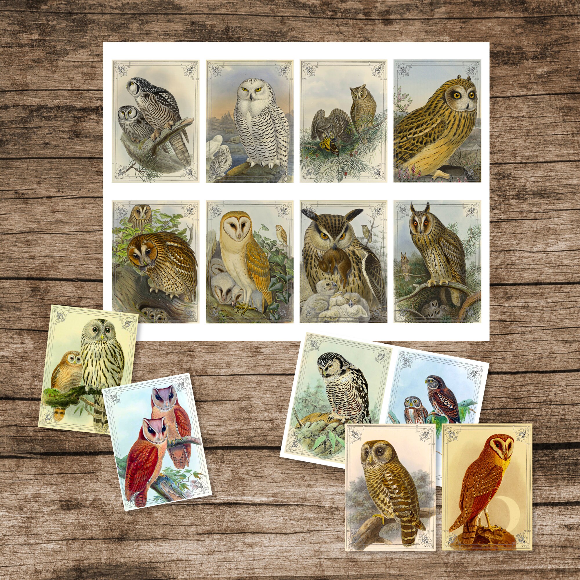 Antique Owl Print ATC Cards, Vintage Owls Junk Journal Ephemera, Owl ...