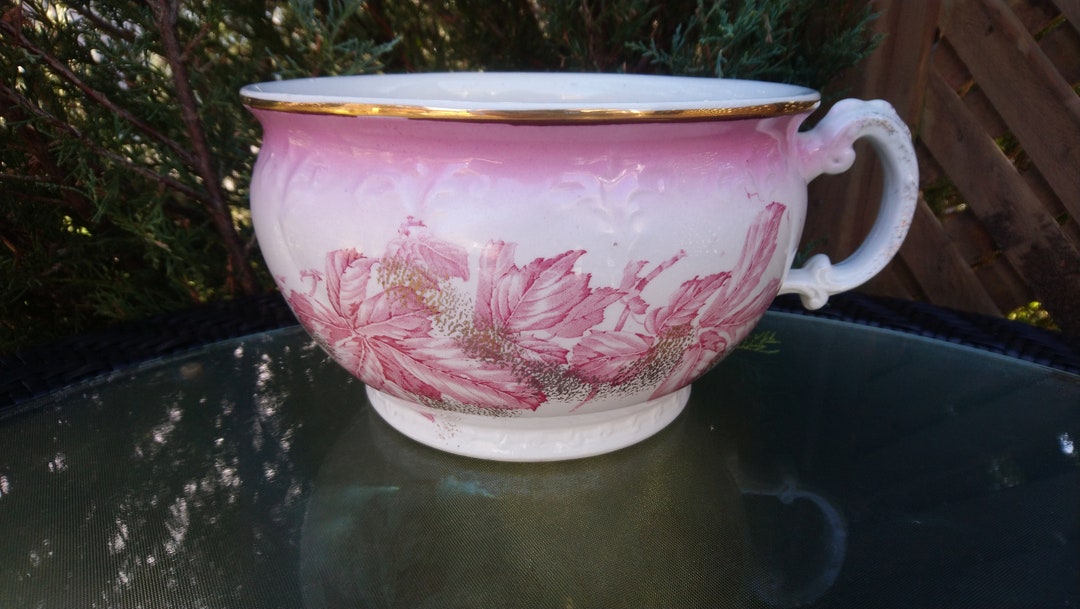 Antique Upper Hanley Pottery Co England Semi Porcelain "maple" Pattern ...