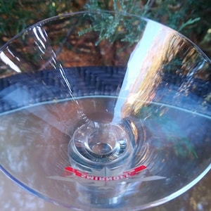 Smirnoff Vodka Martini Glass, 8 Ounces - Etsy