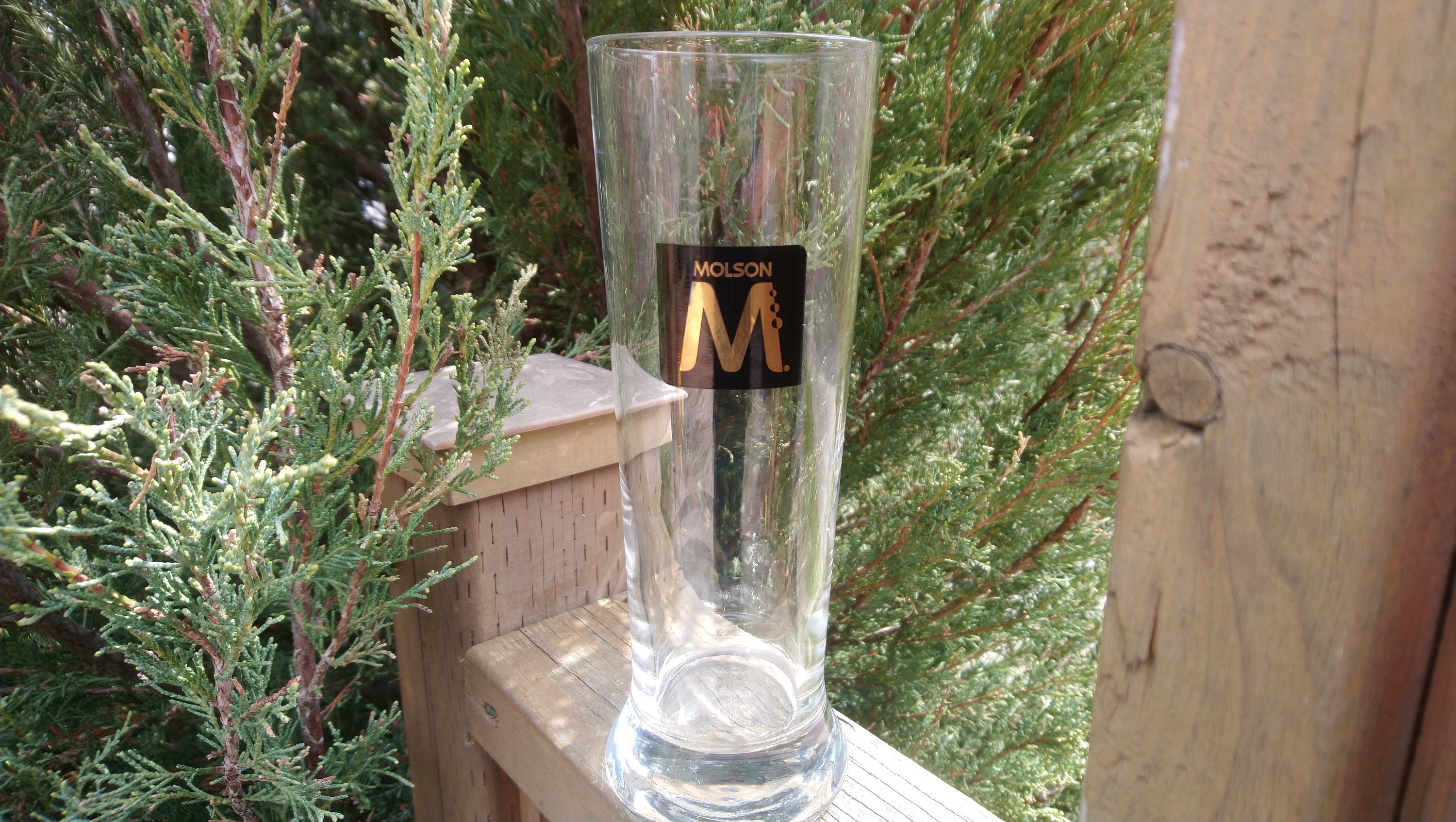 Molson Beer Glass, Collectible Barware Glass, Black and Gold Labelling ...