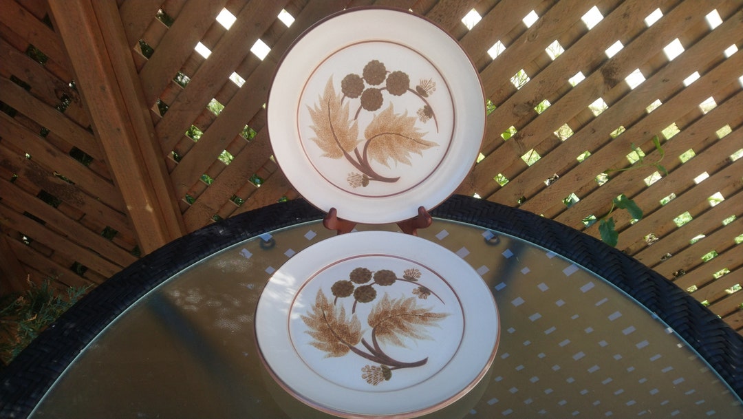 Denby "cotswold" Pattern, Discontinued 1973-1982, Brown Leaves and ...