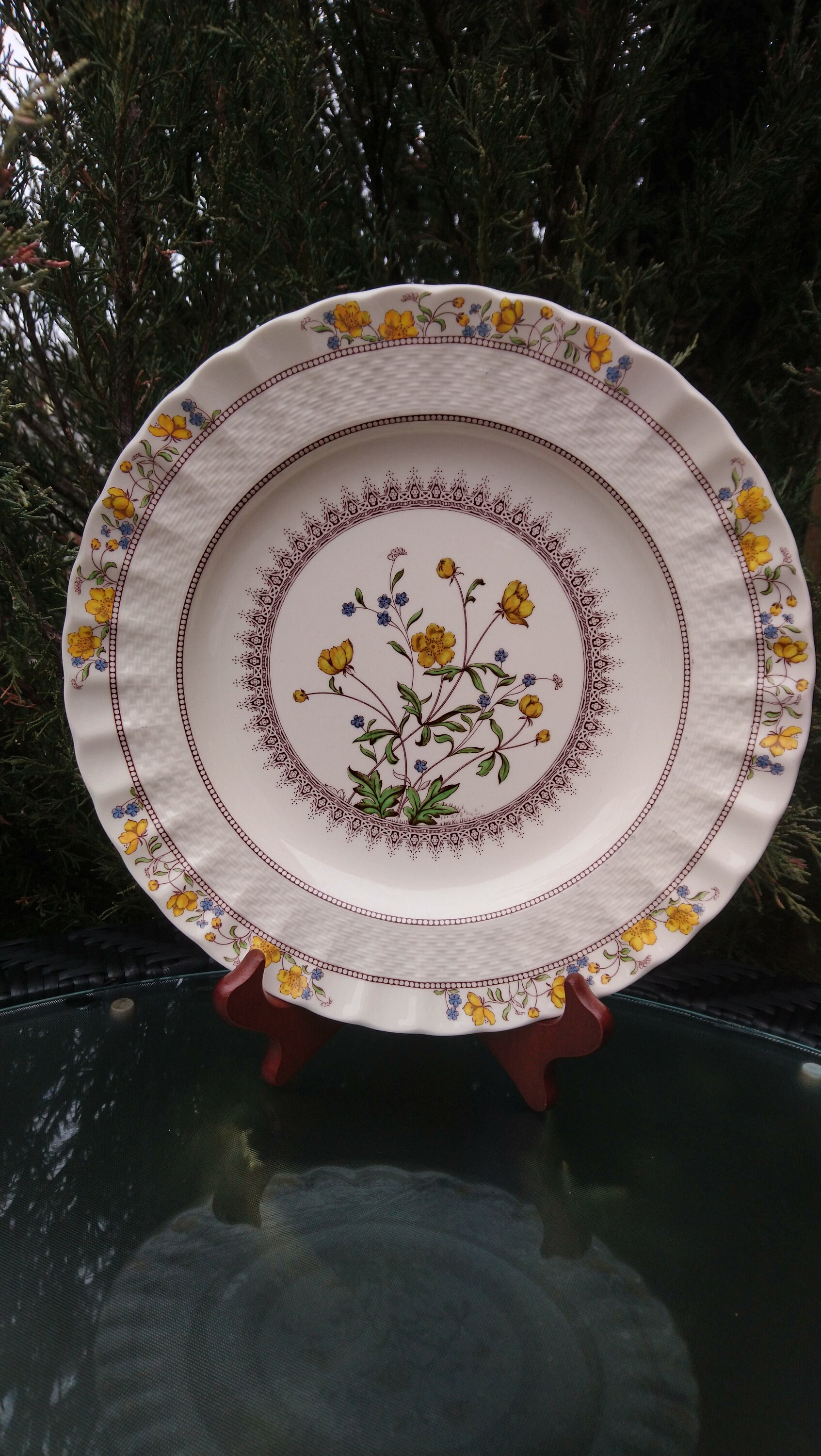 Vintage Spode "buttercup" Pattern Earthenware, Yellow, Green, Brown ...