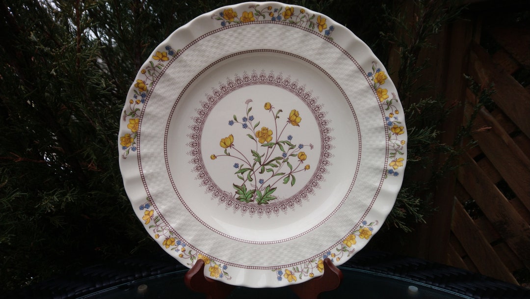 Vintage Spode "buttercup" Pattern Earthenware, Yellow, Green, Brown ...