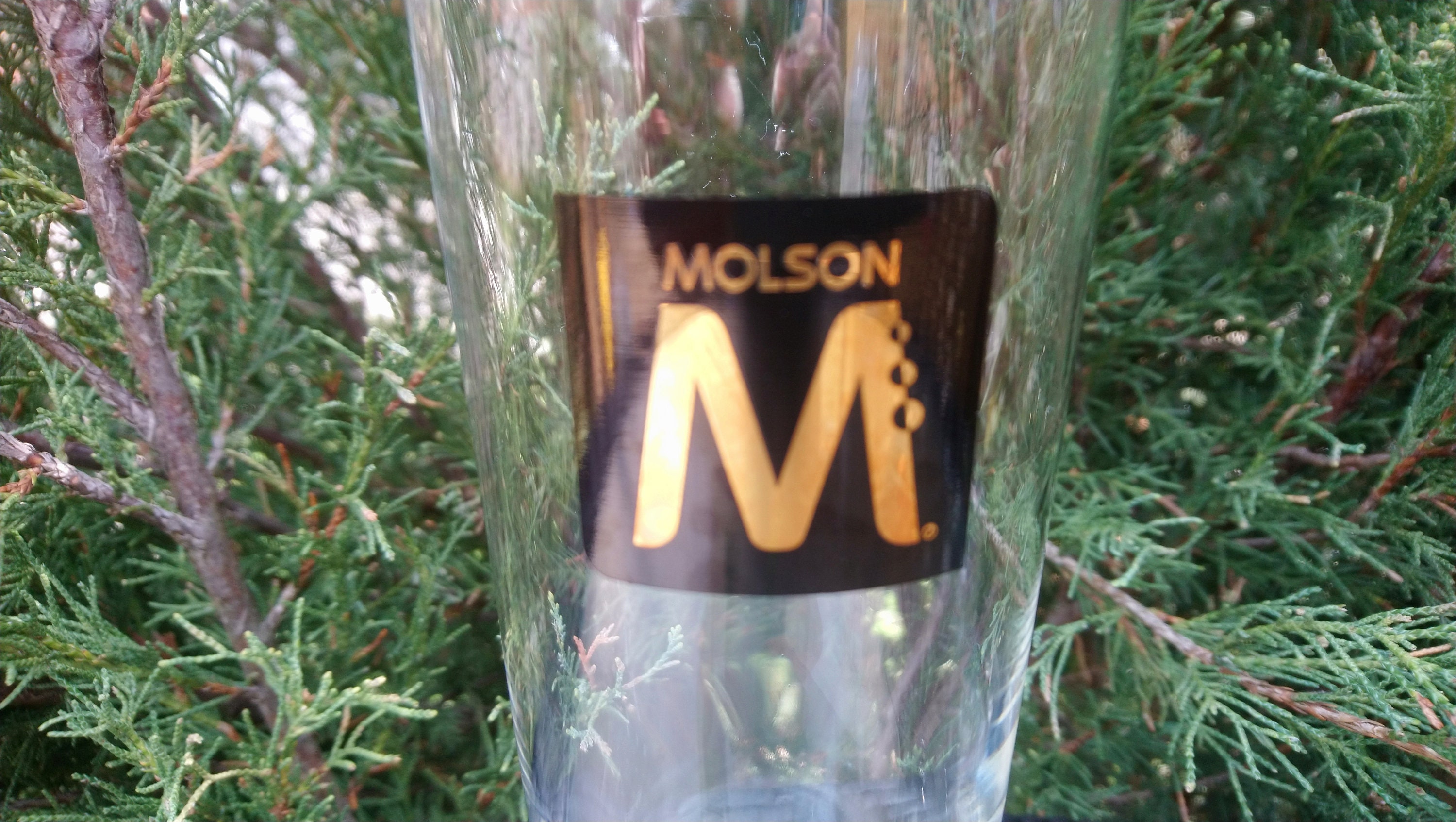 Molson Beer Glass, Collectible Barware Glass, Black and Gold Labelling ...