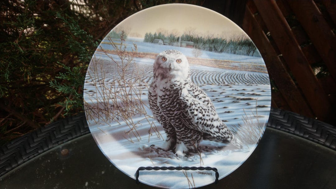 Edwin M. Knowles Collector's Plate, the Stately Owls Collection, "the ...