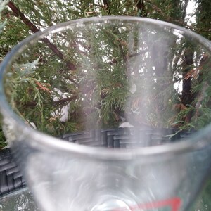 Vintage John Labatt Classic the Original Pioneer Brewery, Signed Beer ...