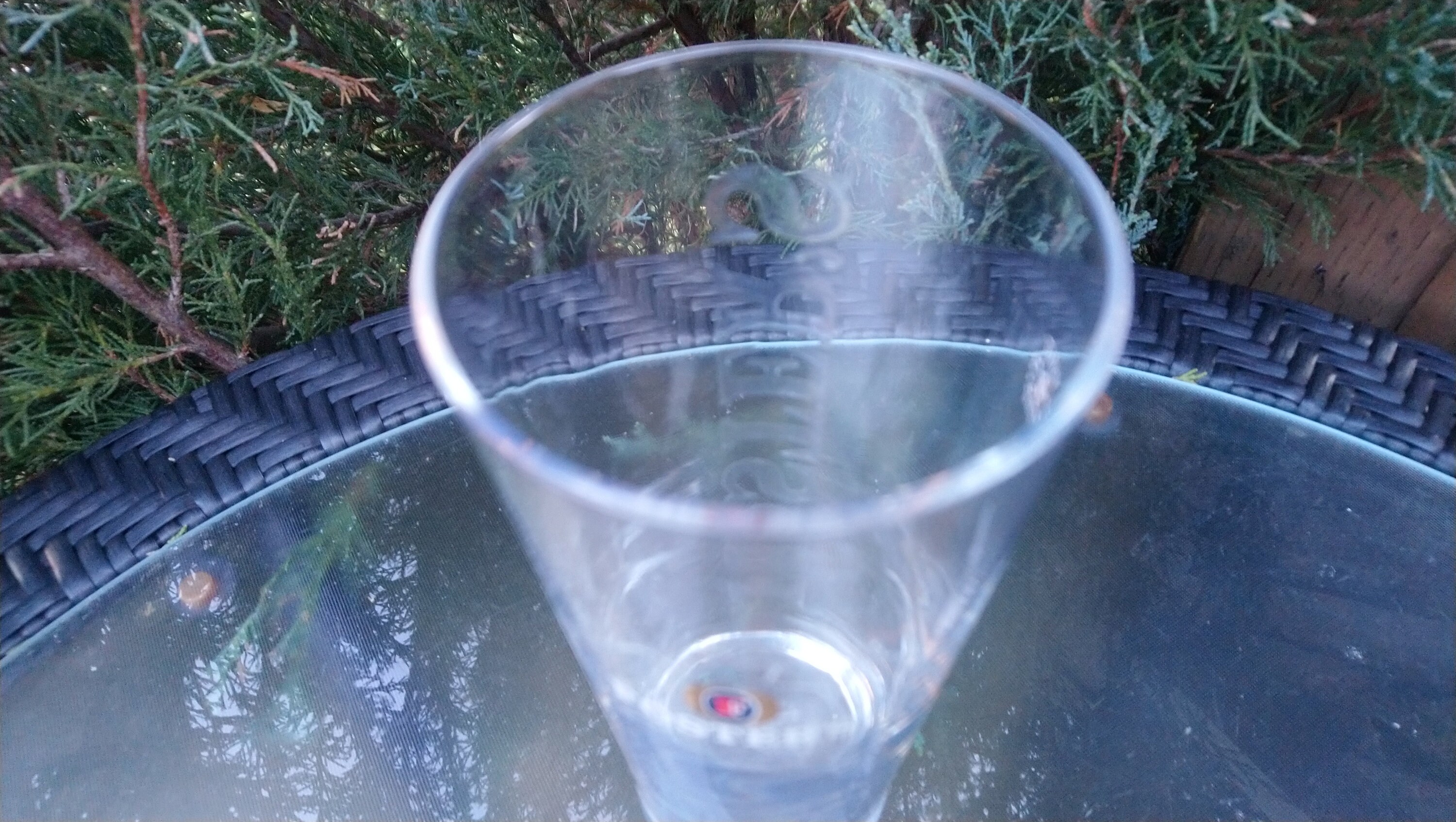 Foster's Collectible Australian Beer Glass Embossed | Etsy