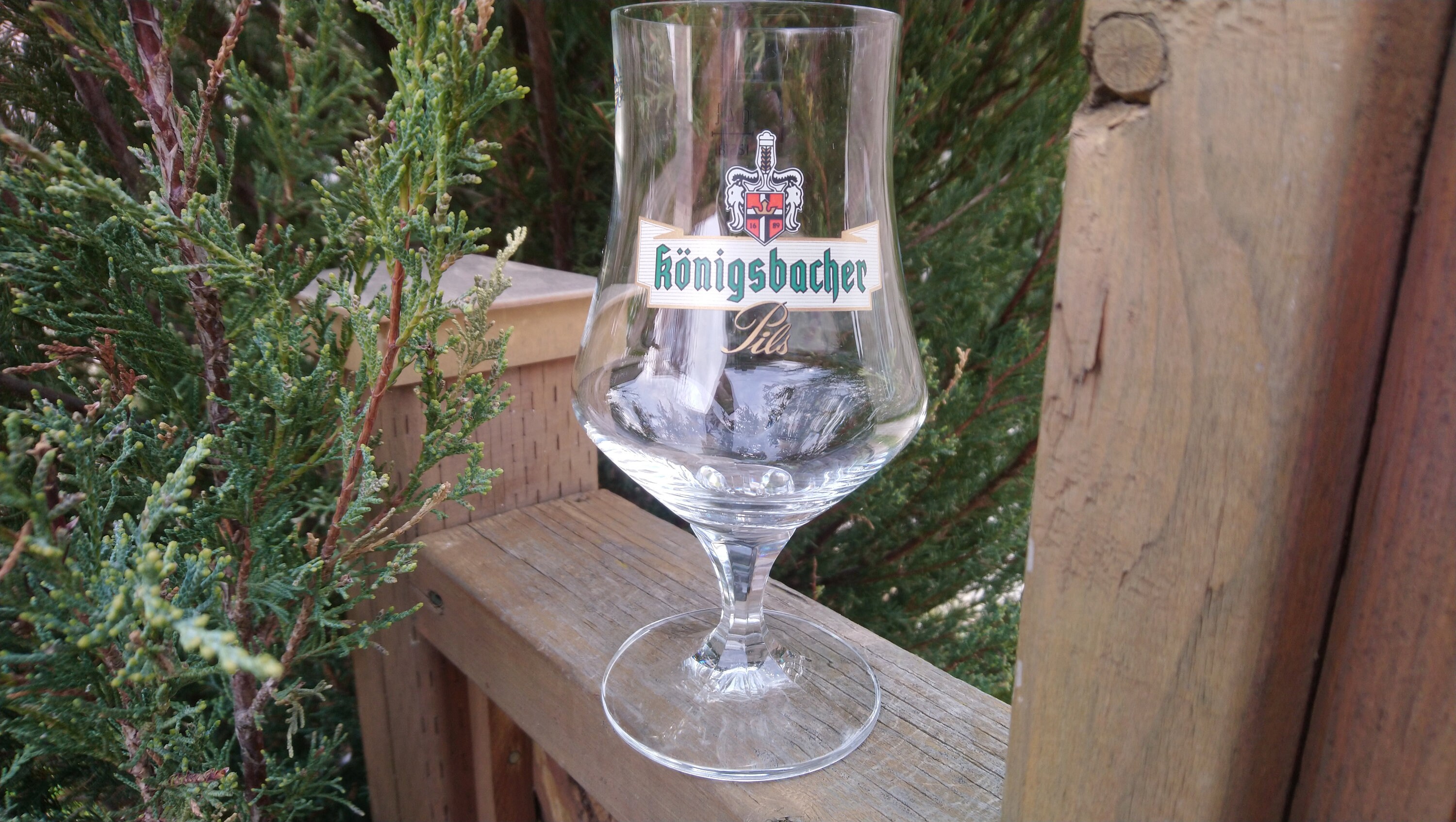Konigsbacher Pils Vintage Collectible German Beer Glass, Tulip Stemmed ...