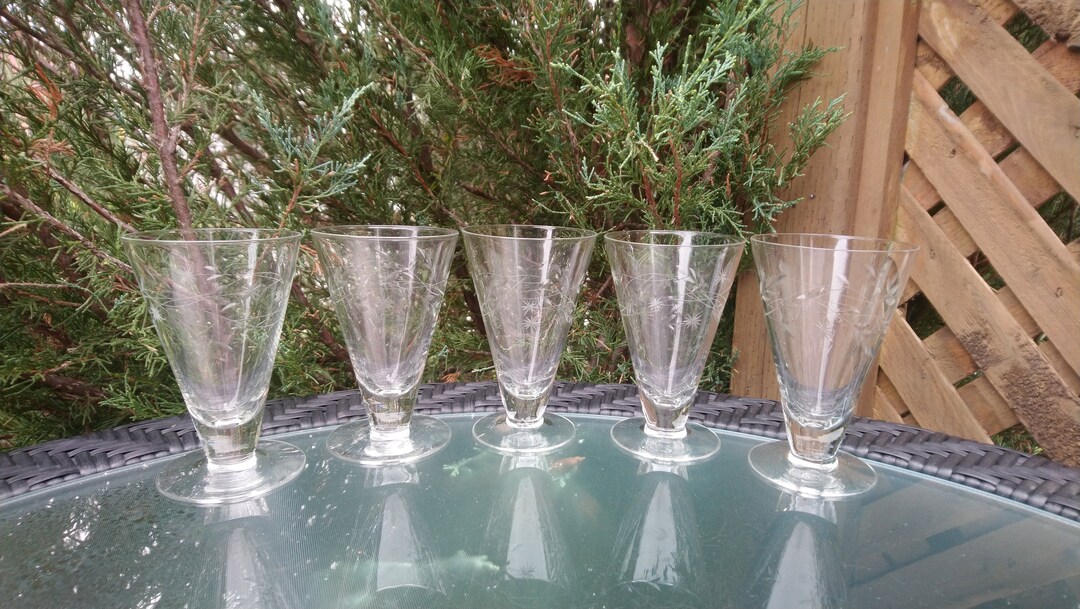 Set of Five Etched Floral Pattern Vintage Barware Glasses - Etsy