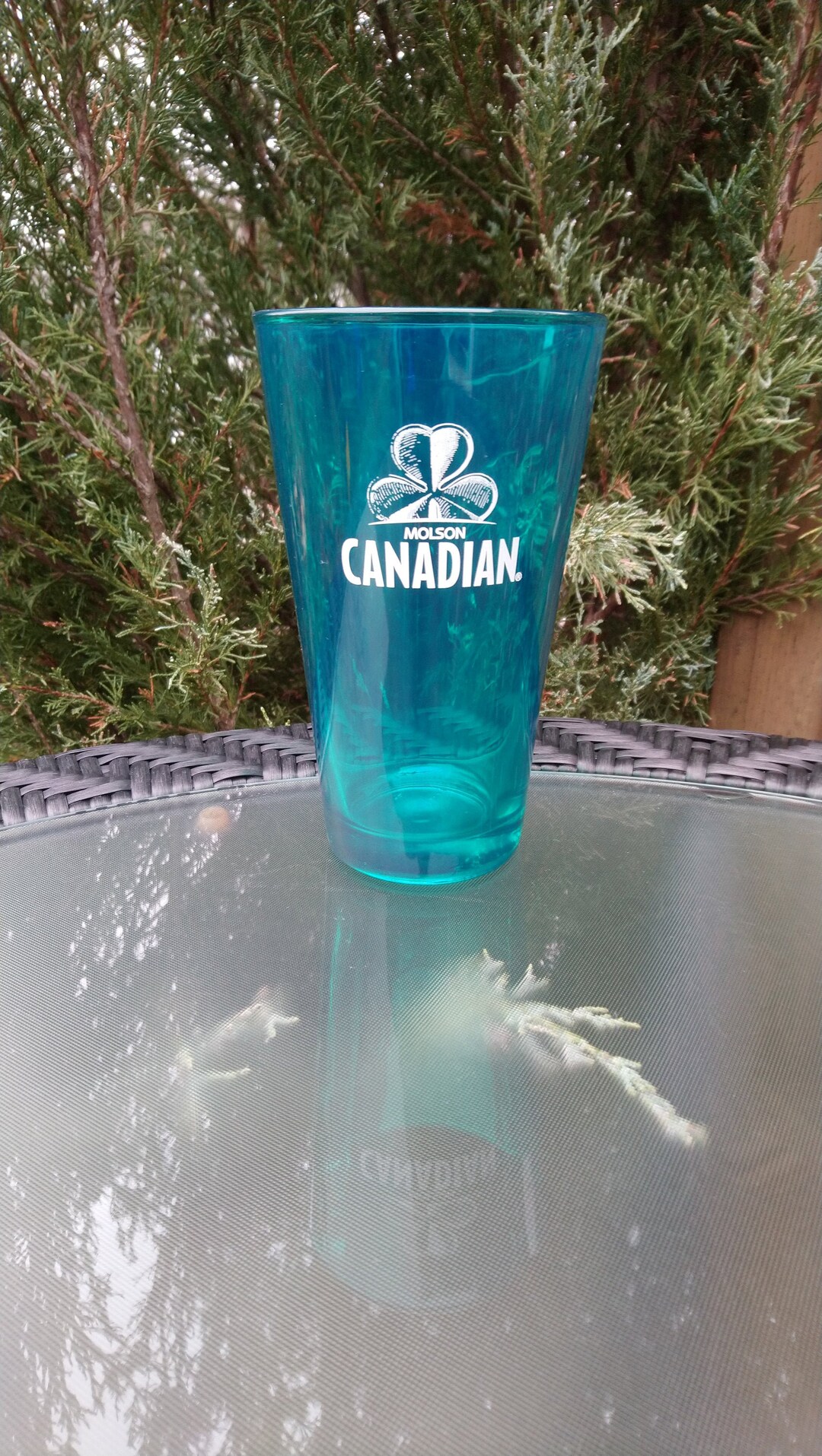 Buy Molson Canadian Green Clover Beer Glass, Collectible Barware, Pint ...