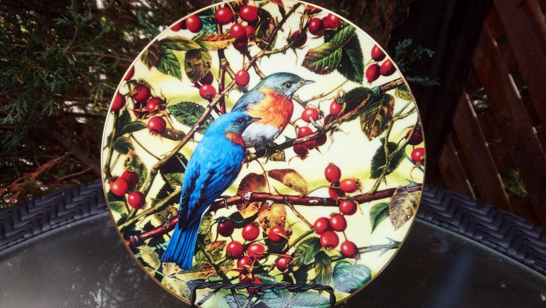 WJ George Collector's Plate, Portraits of Exquisite Birds Series, "the ...