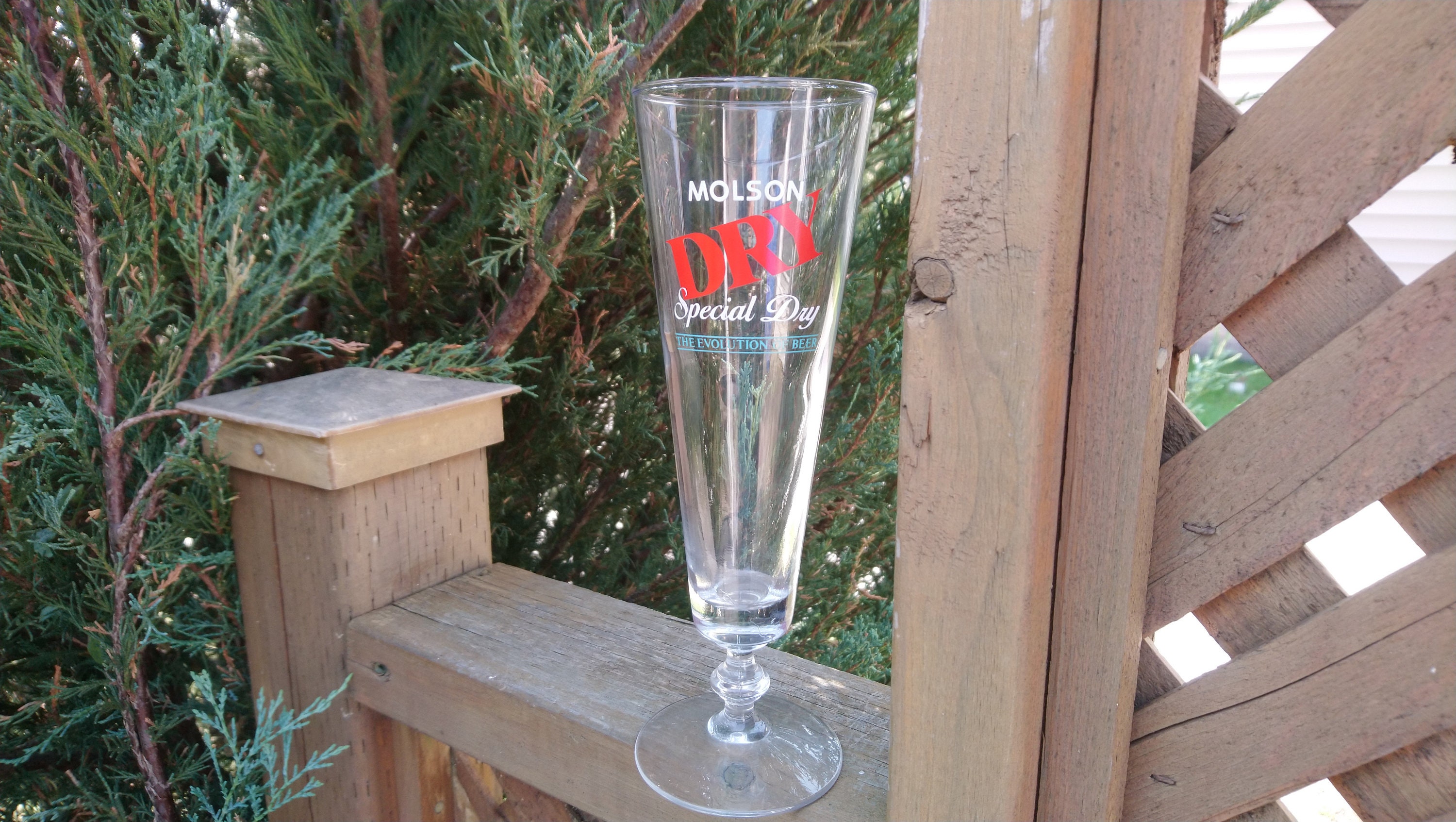 Molson Special Dry "the Evolution of Beer", Footed Collectible Beer ...