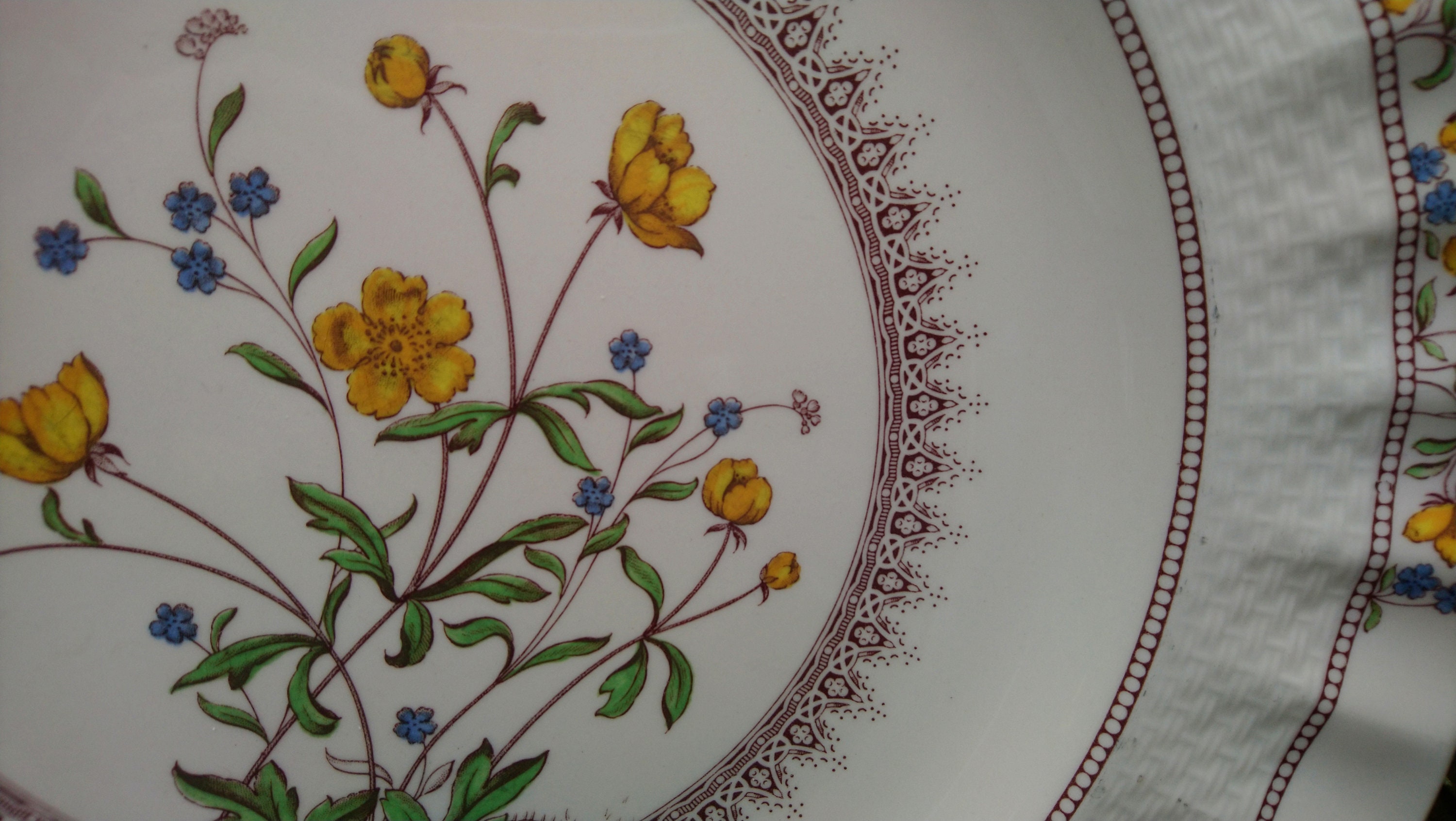Vintage Spode "buttercup" Pattern Earthenware, Yellow, Green, Brown ...