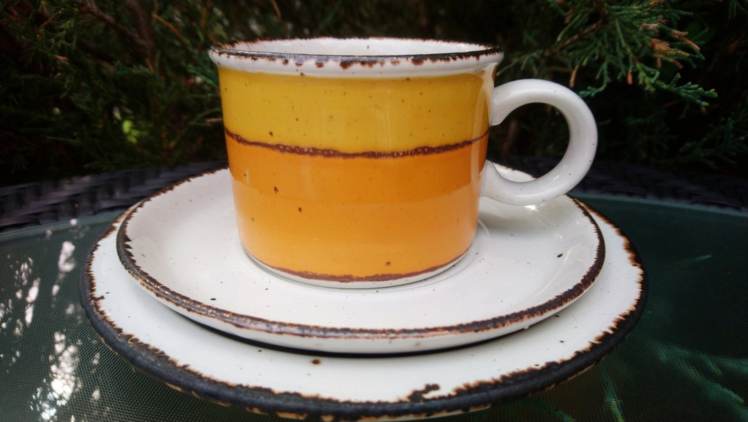 Stonehenge Midwinter "sun" Pattern, Discontinued 1973-1986, Cup With ...