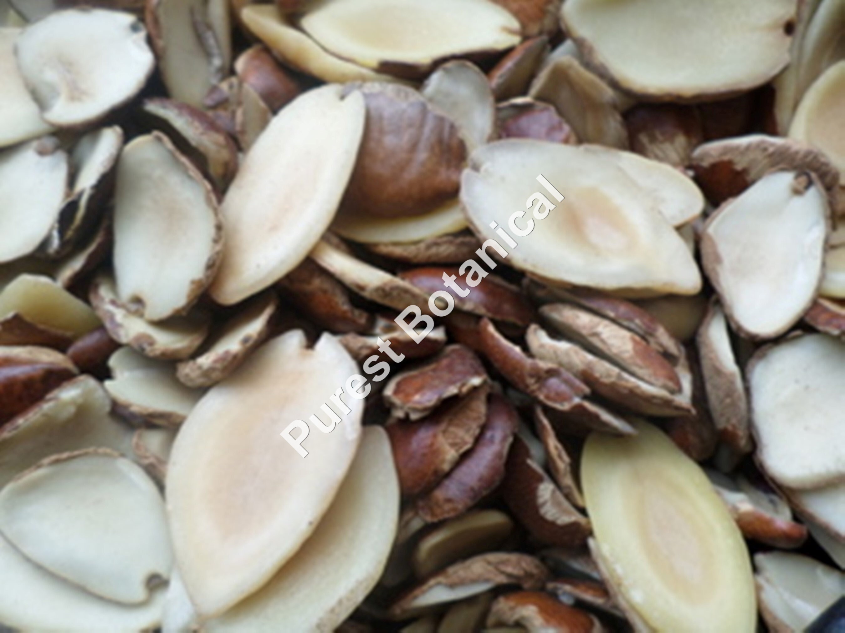 1kg / 2.2lbs Irvingia Gabonensis / African Mango / Bush Mango | Etsy