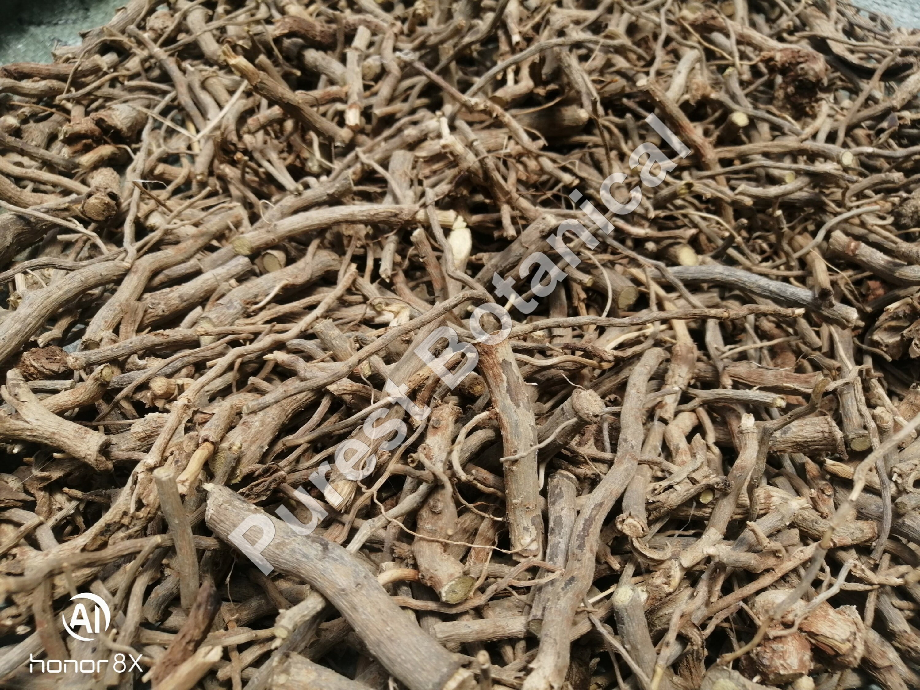 Mondia whitei / Mondia / roots 2.2lb / Bulk | Etsy